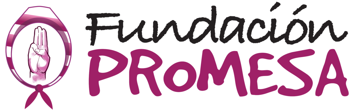 Conoce la Fundación PROMESA – Fundación Promesa